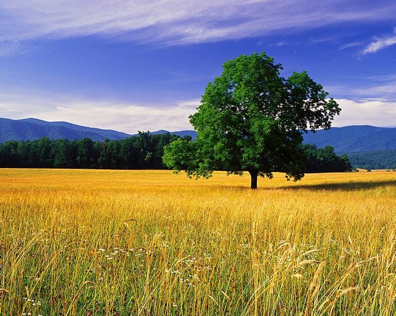 [ Shuft Blog ]: Imagini de vara superbe pentru fundal